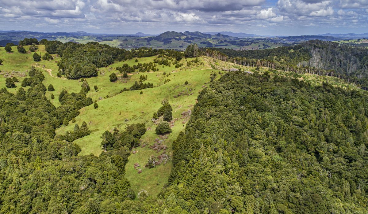 Index of /wp-content/uploads/2024/04/